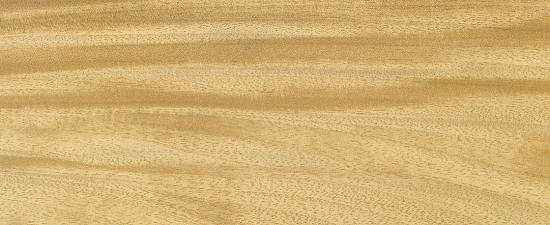 Primavera: Find it in Woodfinder!